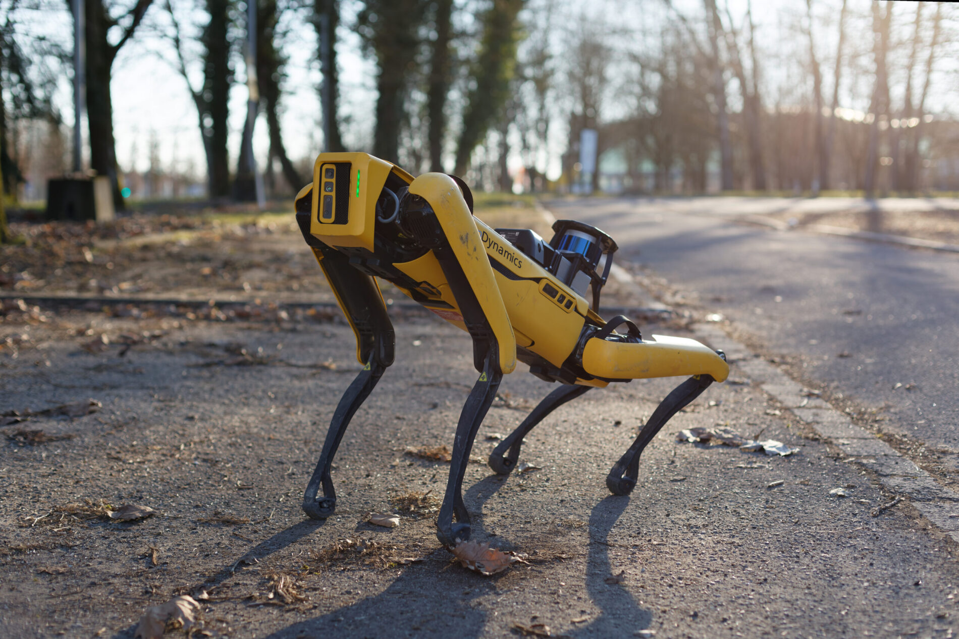 FNR Science Image Competition: Robot, sit - FNR