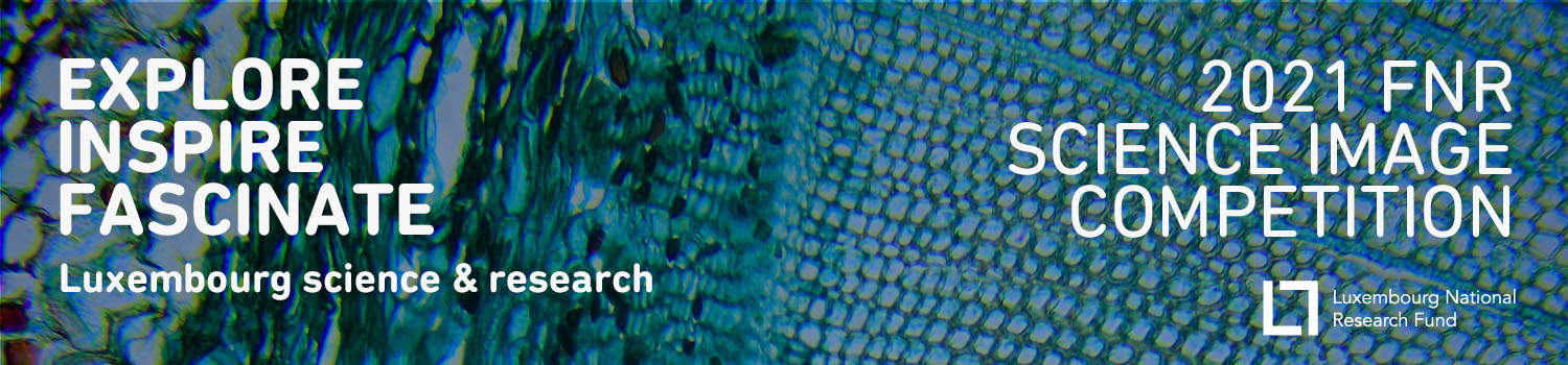 Explore. Inspire. Fascinate: FNR Science Image Competition 2021 ...