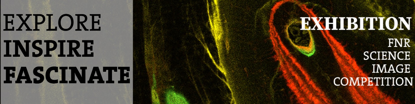 FNR Science Image Competition: exhibition - FNR
