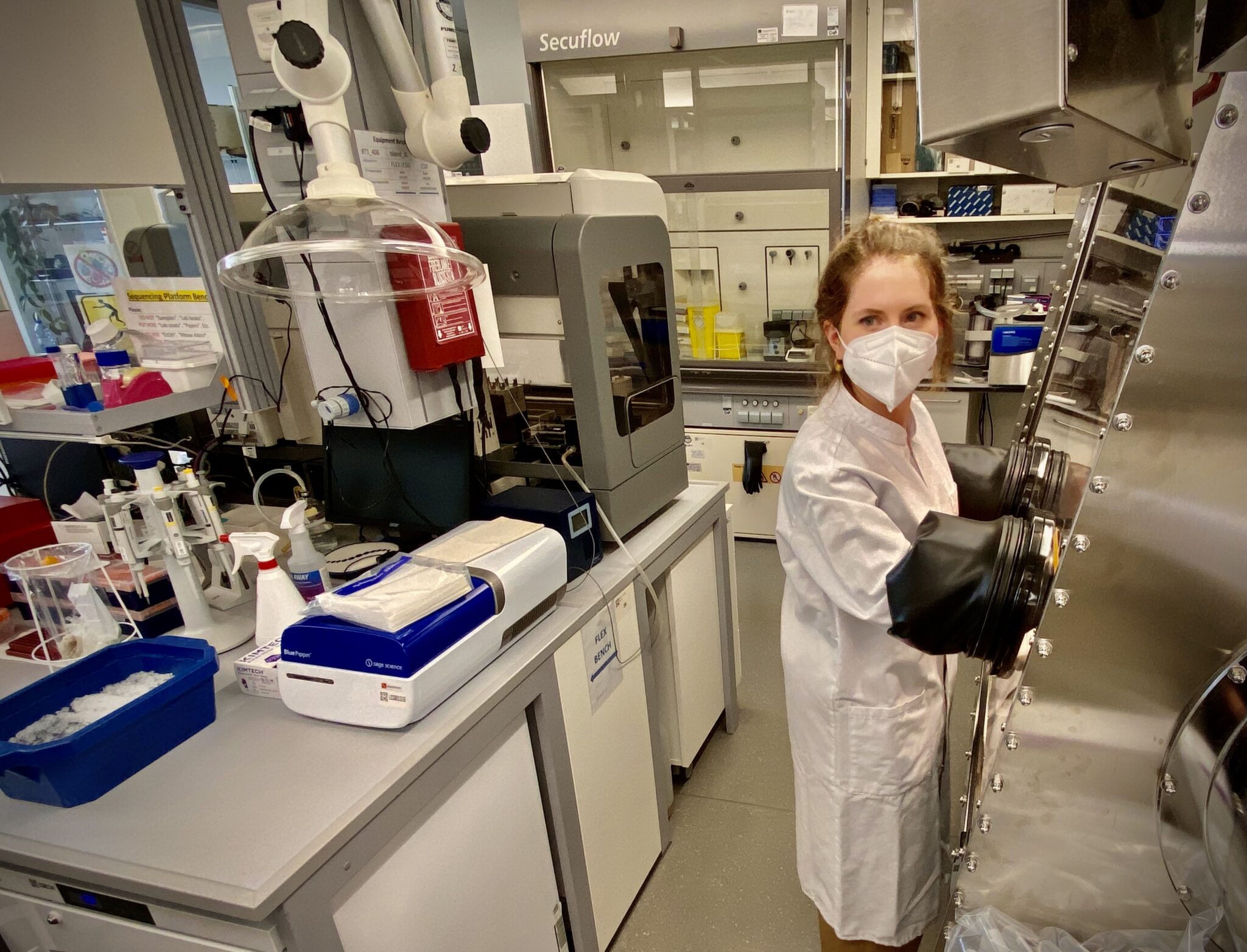 Spotlight on Young Researchers: The human gut microbiome and the clues ...