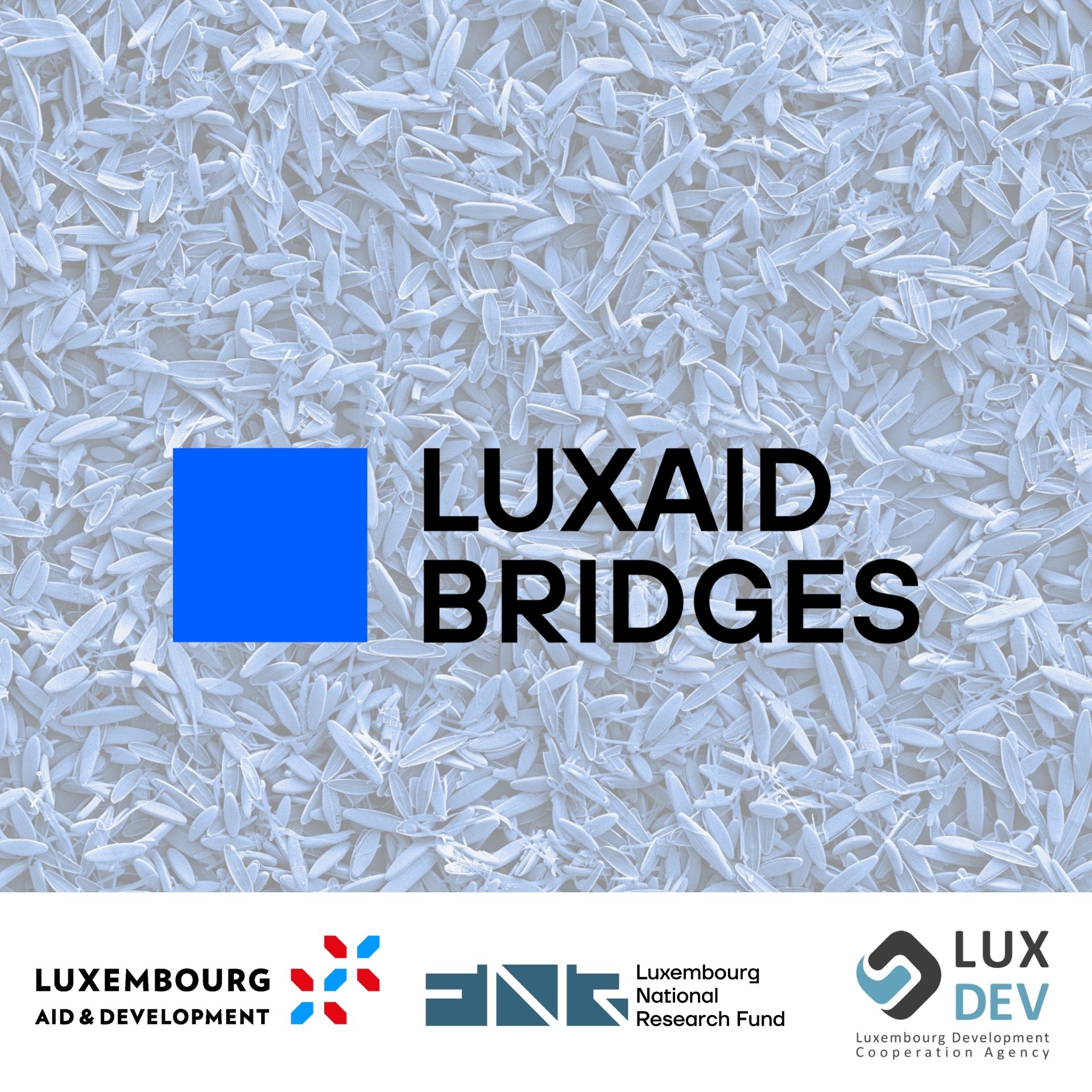 LuxAid BRIDGES - FNR