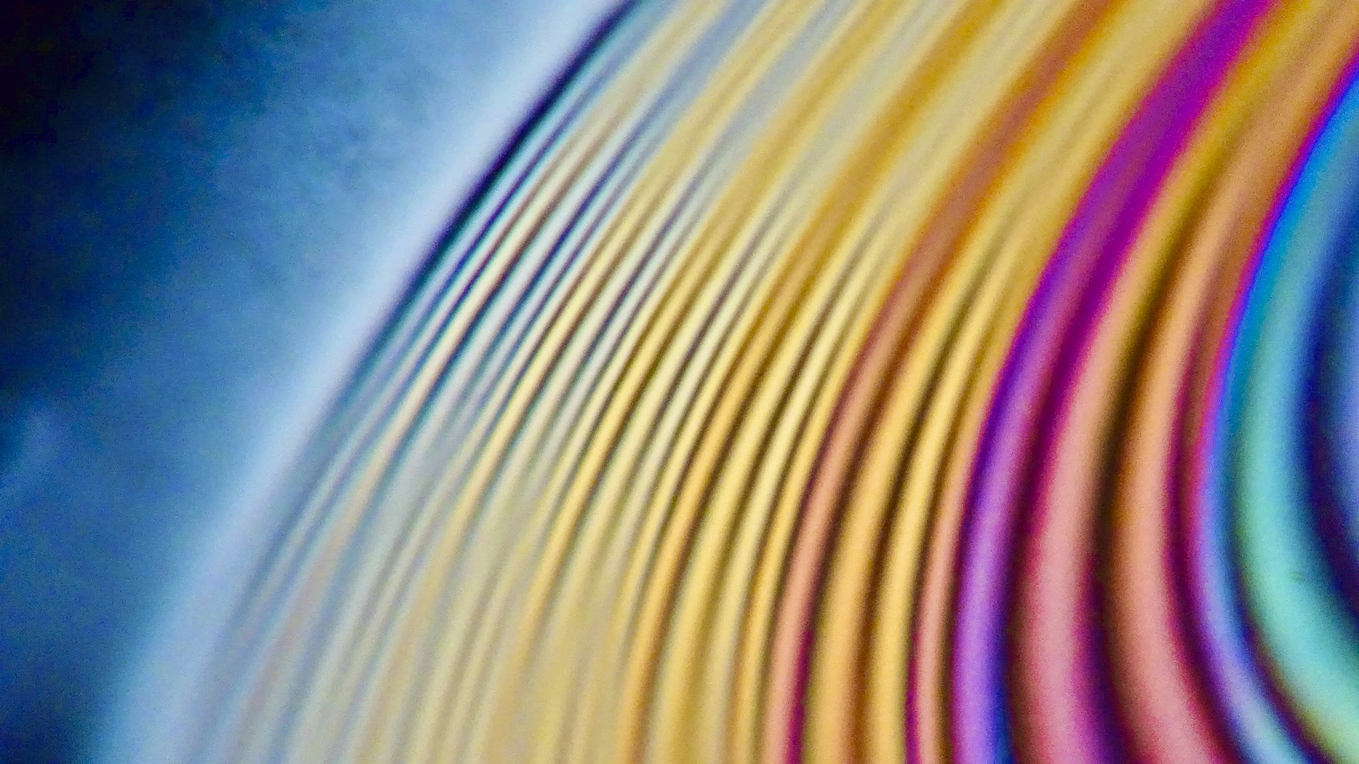 FNR Publications - FNR