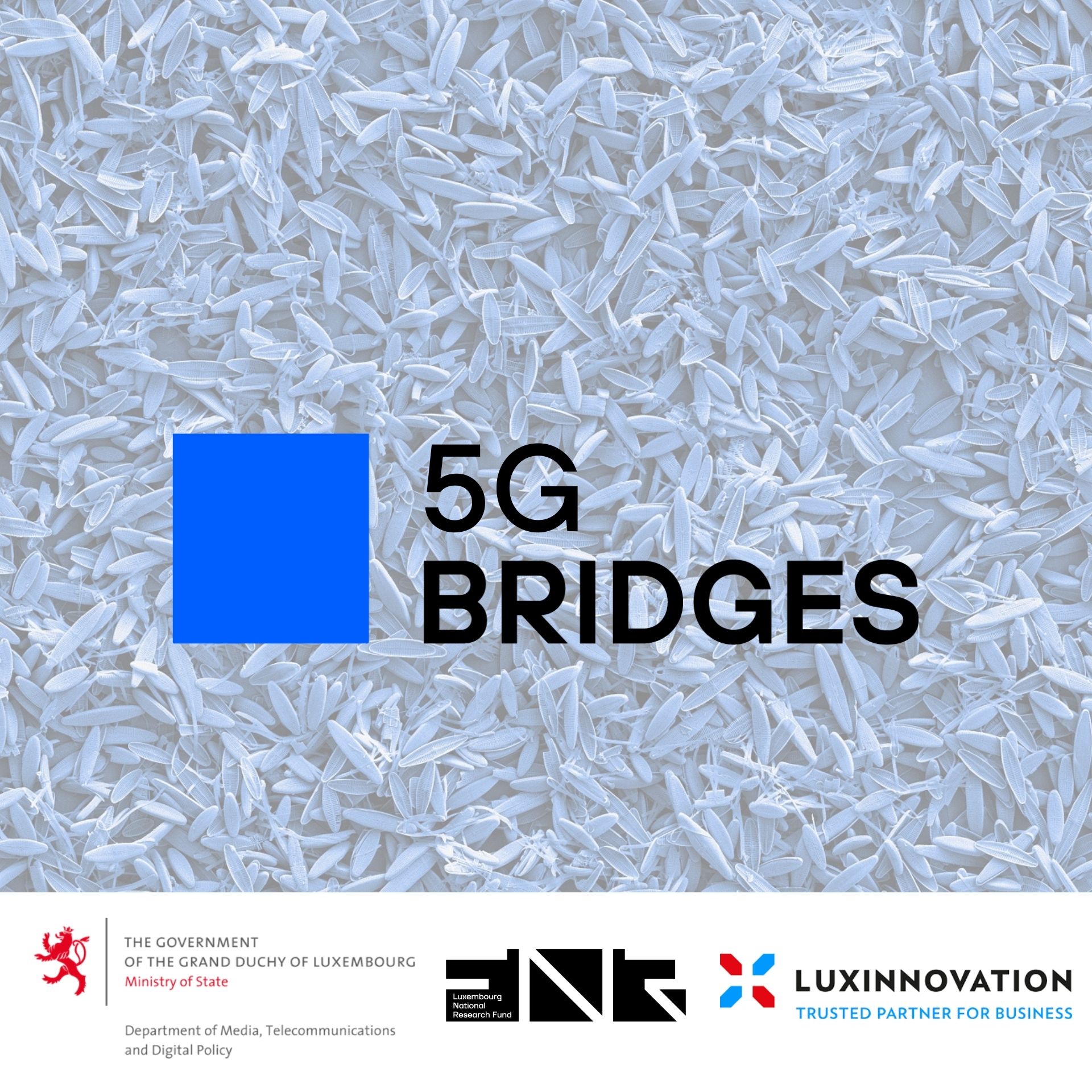 5G BRIDGES: Launch joint call 5G Communication Technologies 2023 - FNR