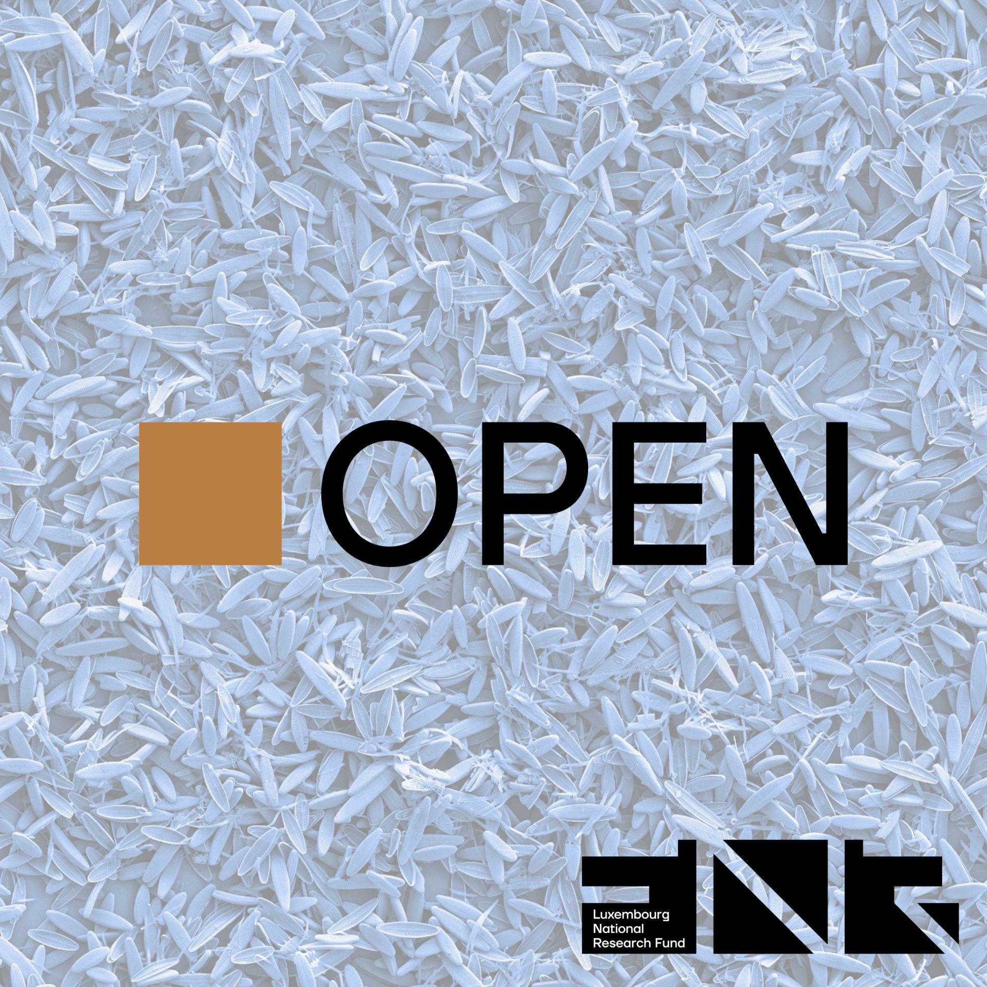 OPEN 2023 results - FNR