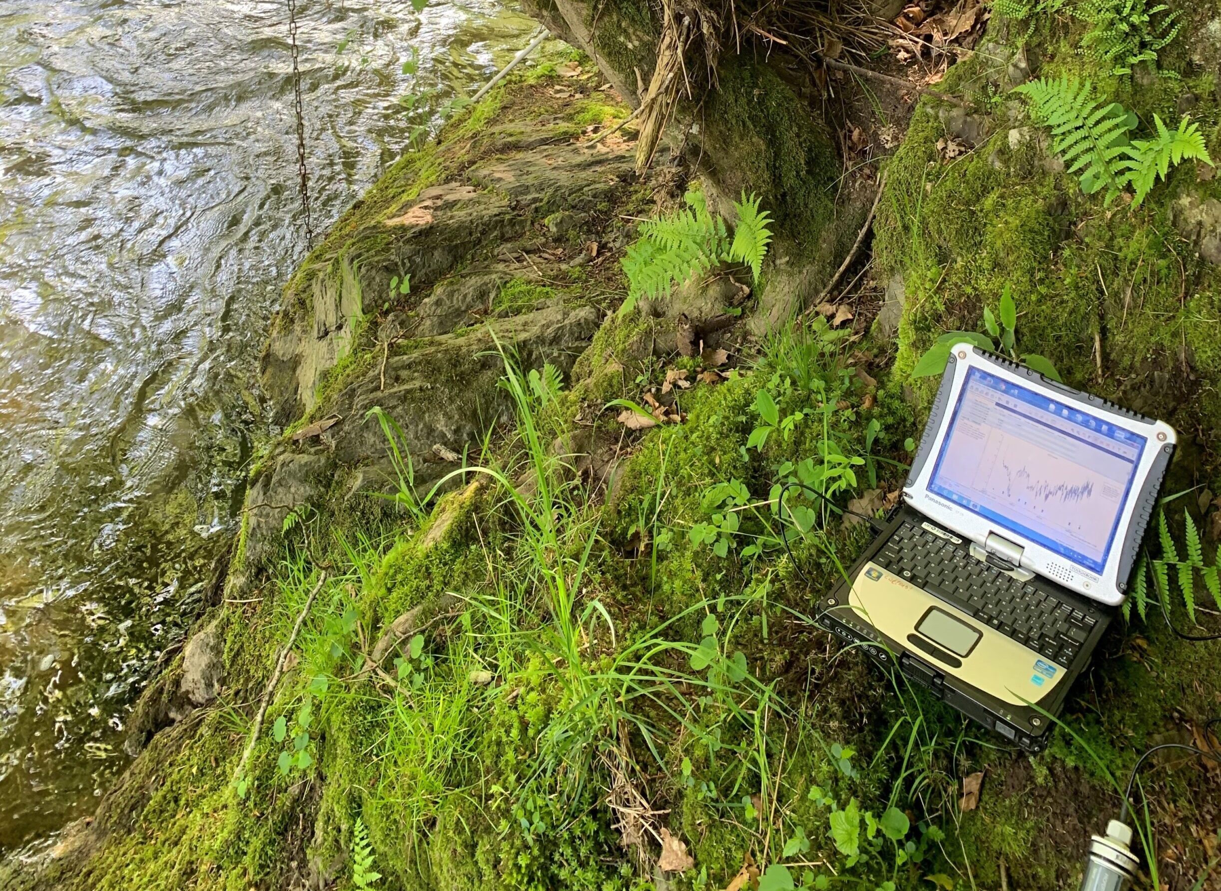 Spotlight on Young Researchers: Reconstructing the history of flowing ...