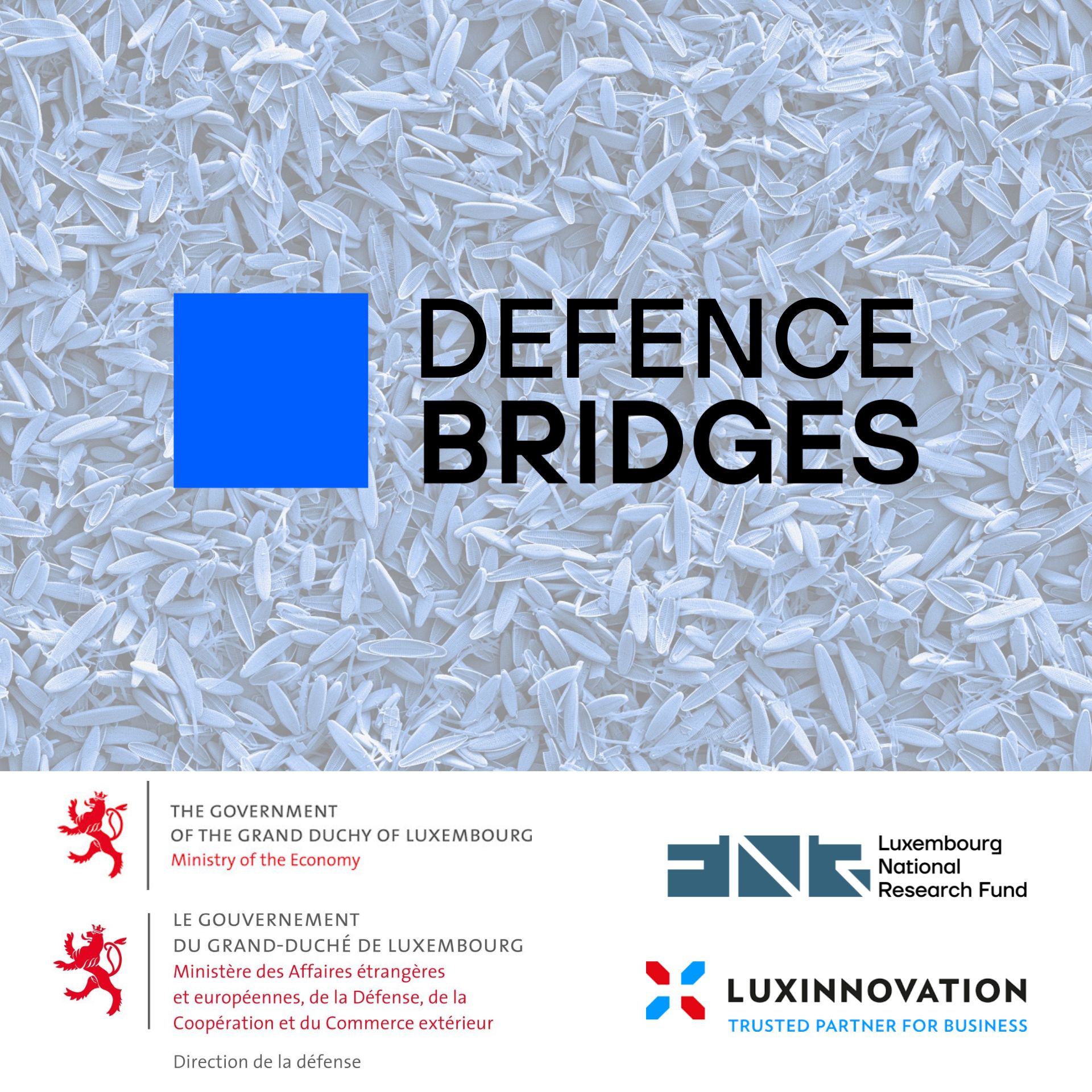 Launch Defence-BRIDGES Call - FNR