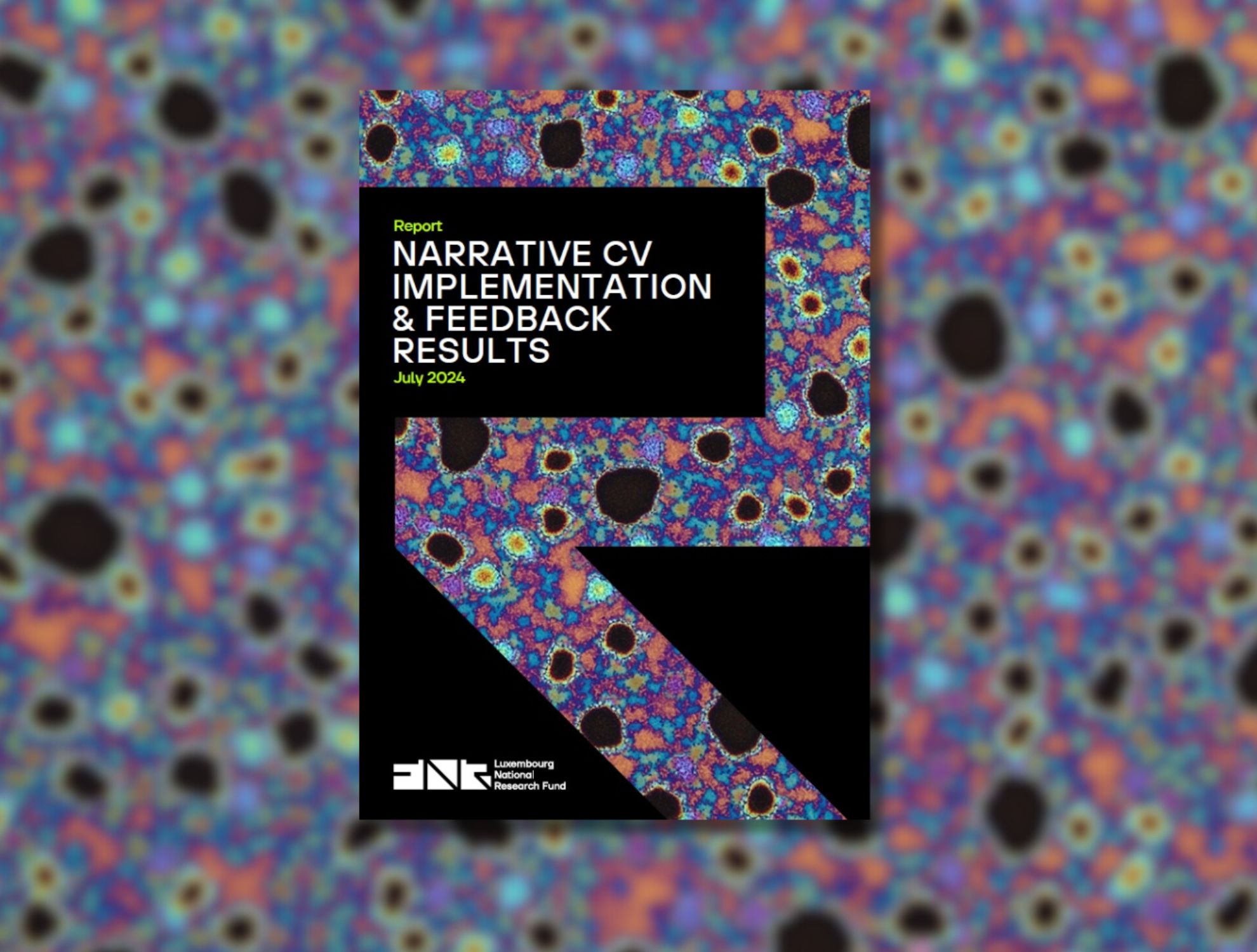 Narrative CV: 2024 report on implementation & feedback results - FNR