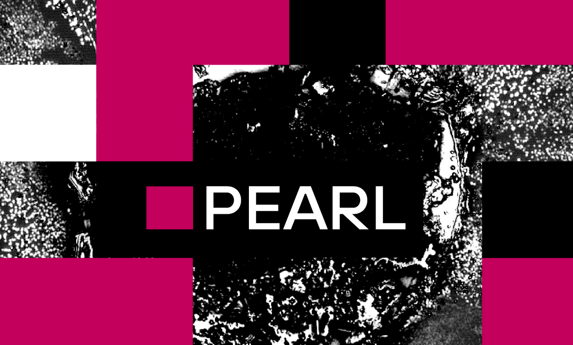 Lunch Break: A conversation with PEARL Chair Jordi Cabot - Rethinking ...